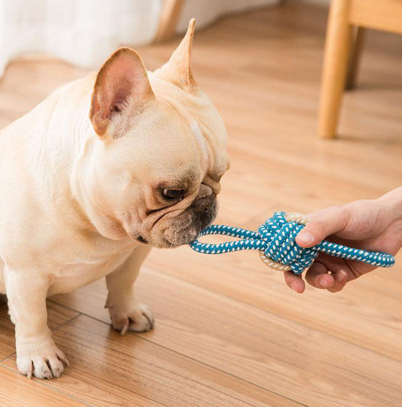 Dog molars to relieve boredom knot toy dog bite rope set | Fei Zai Pet ...